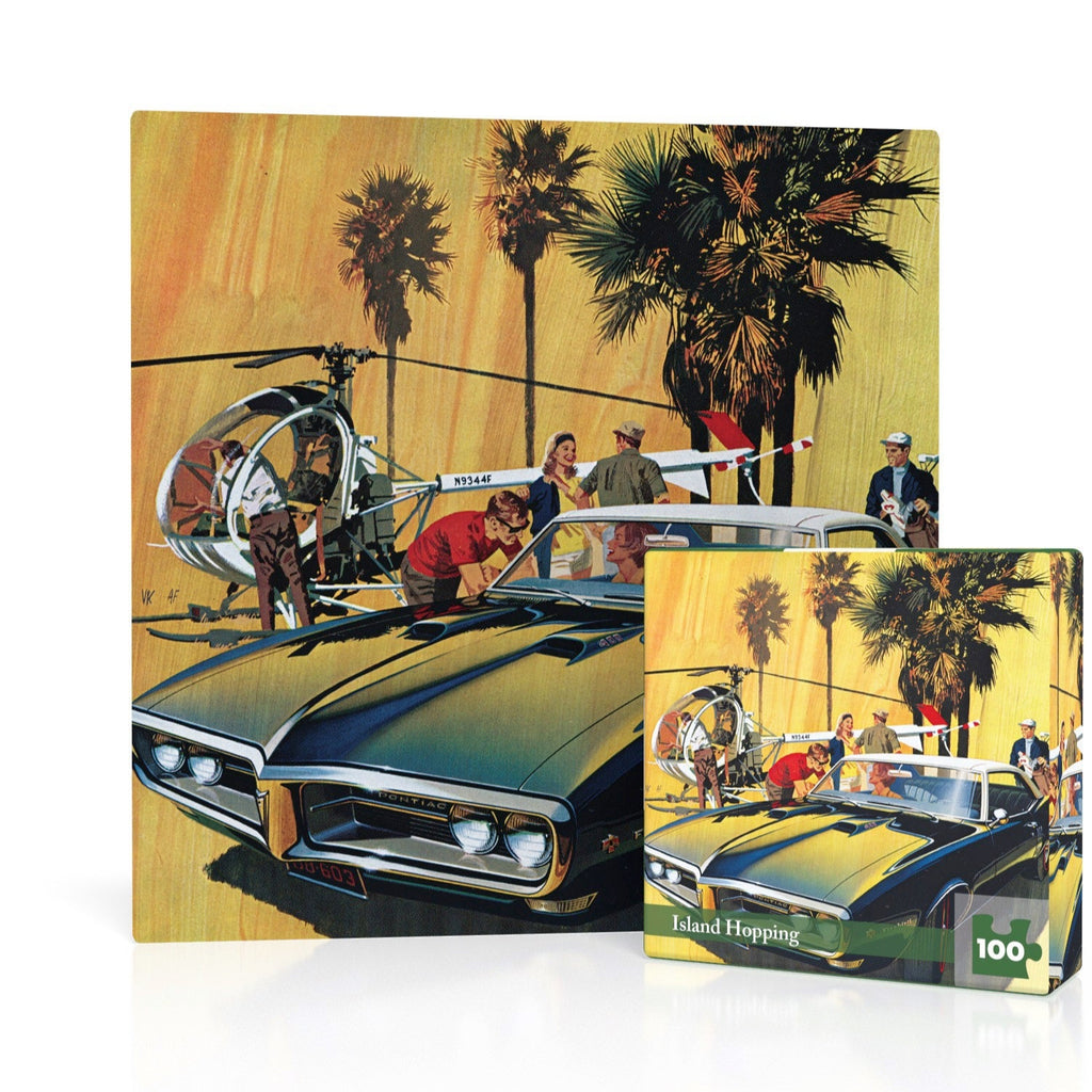 Island Hopping Mini by New York Puzzle Company | 100 Piece Jigsaw ...