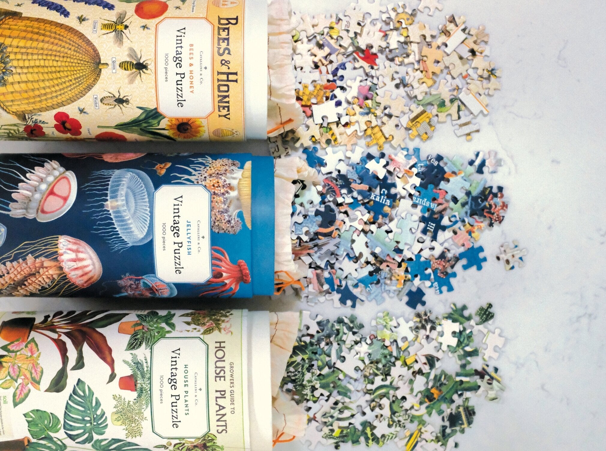 Cavallini Papers & Co. Jigsaw Puzzles – Puzzledly
